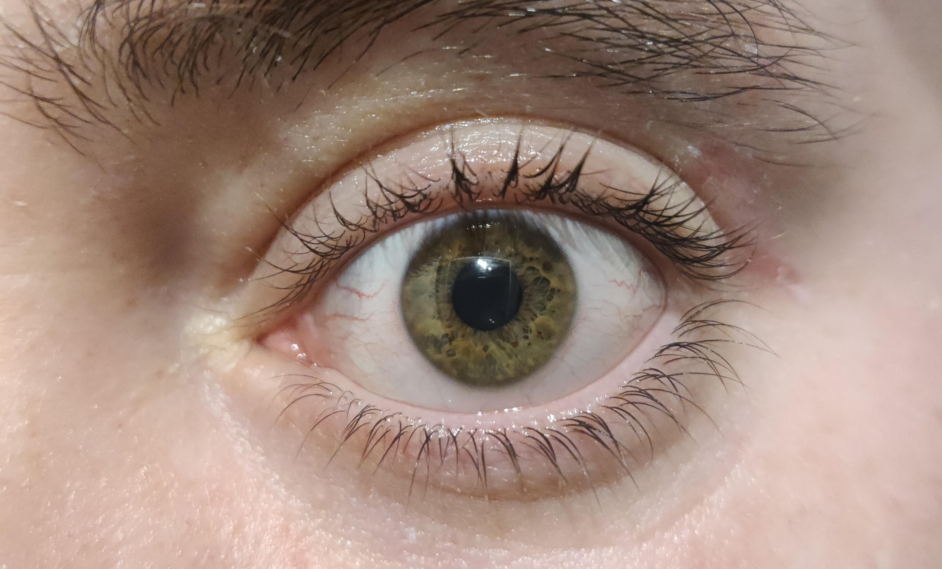 Hazel or green? | Scrolller