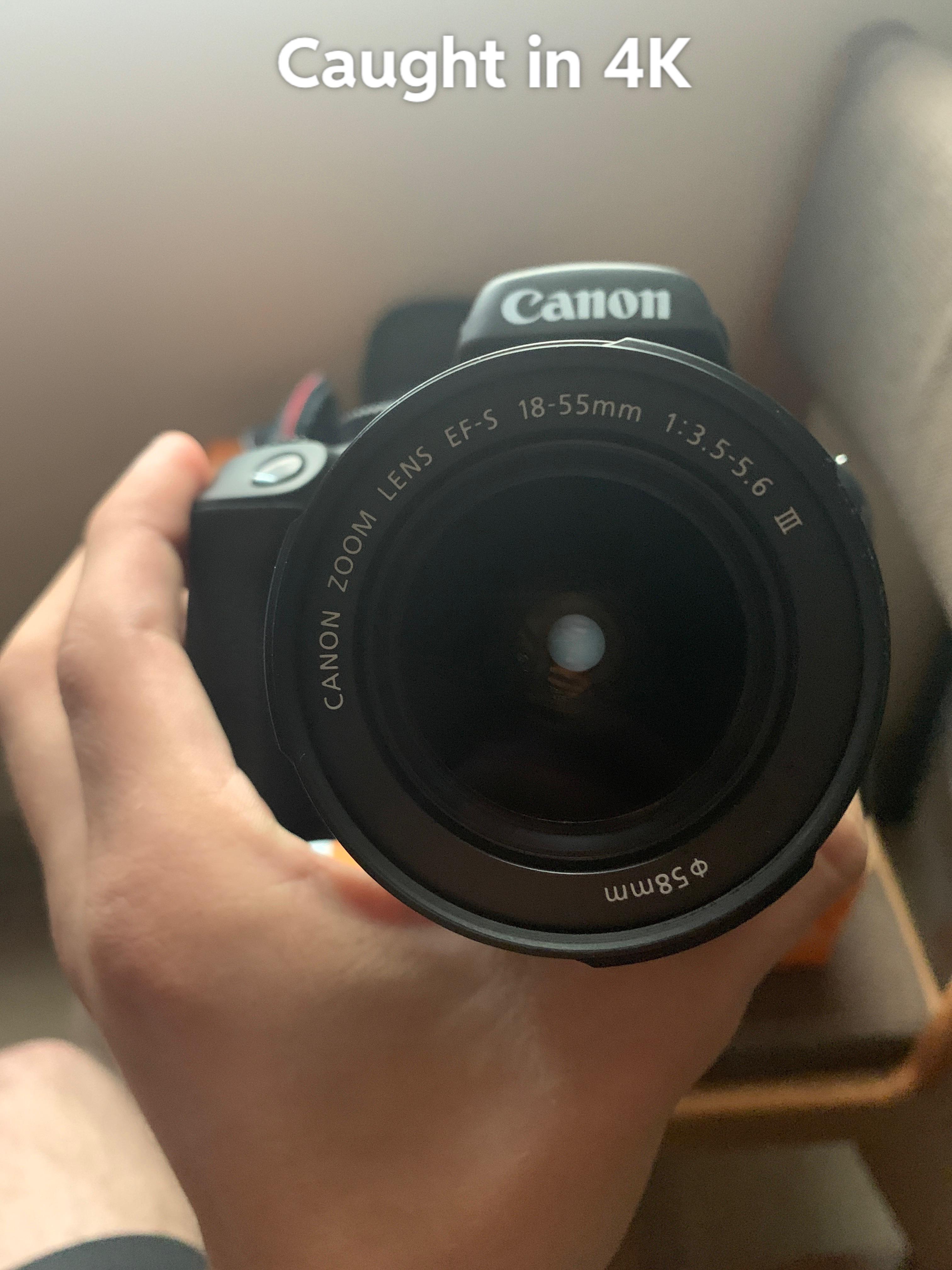 Caught the above post in 4K | Scrolller