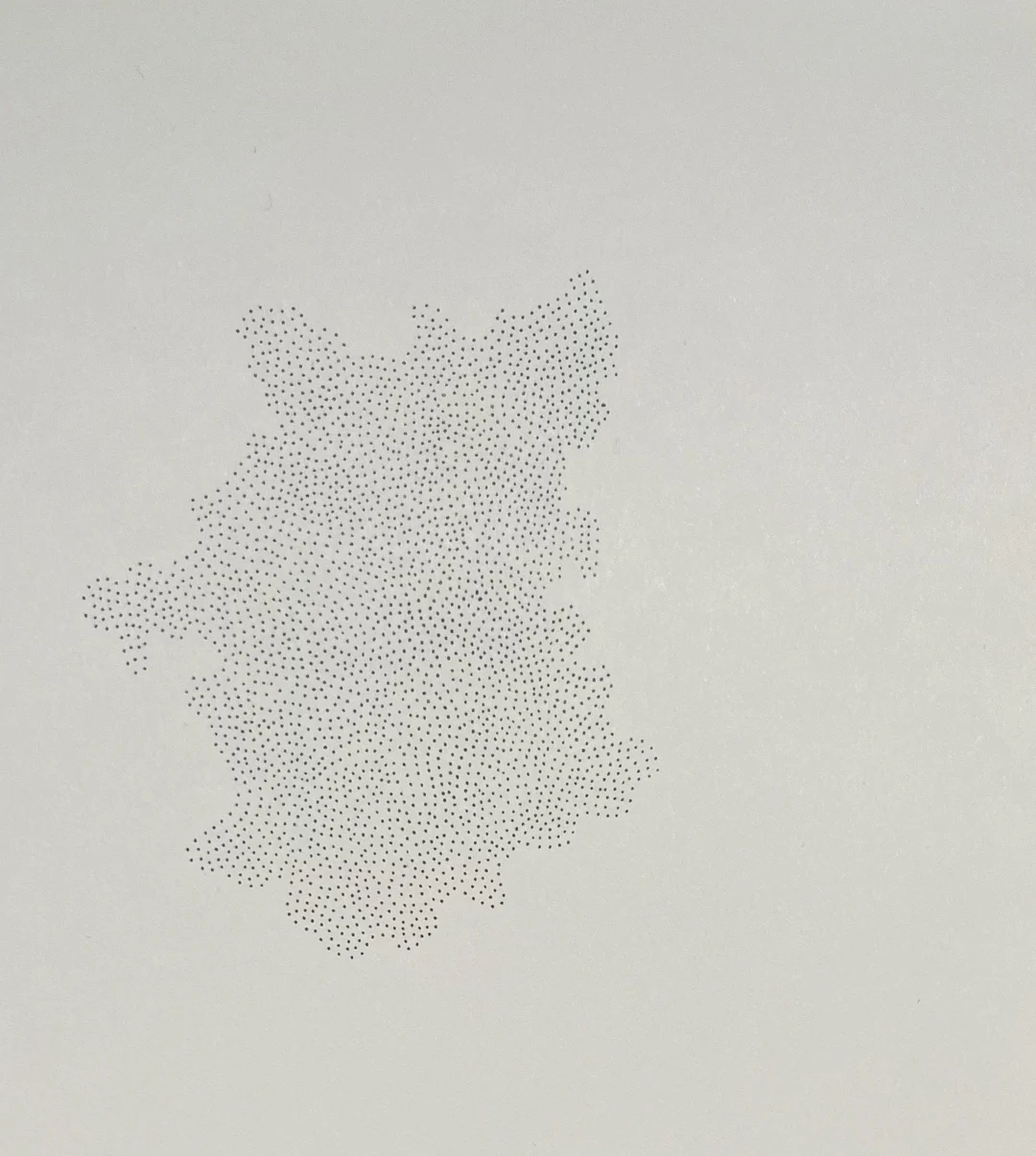 “Amoeba” | Scrolller