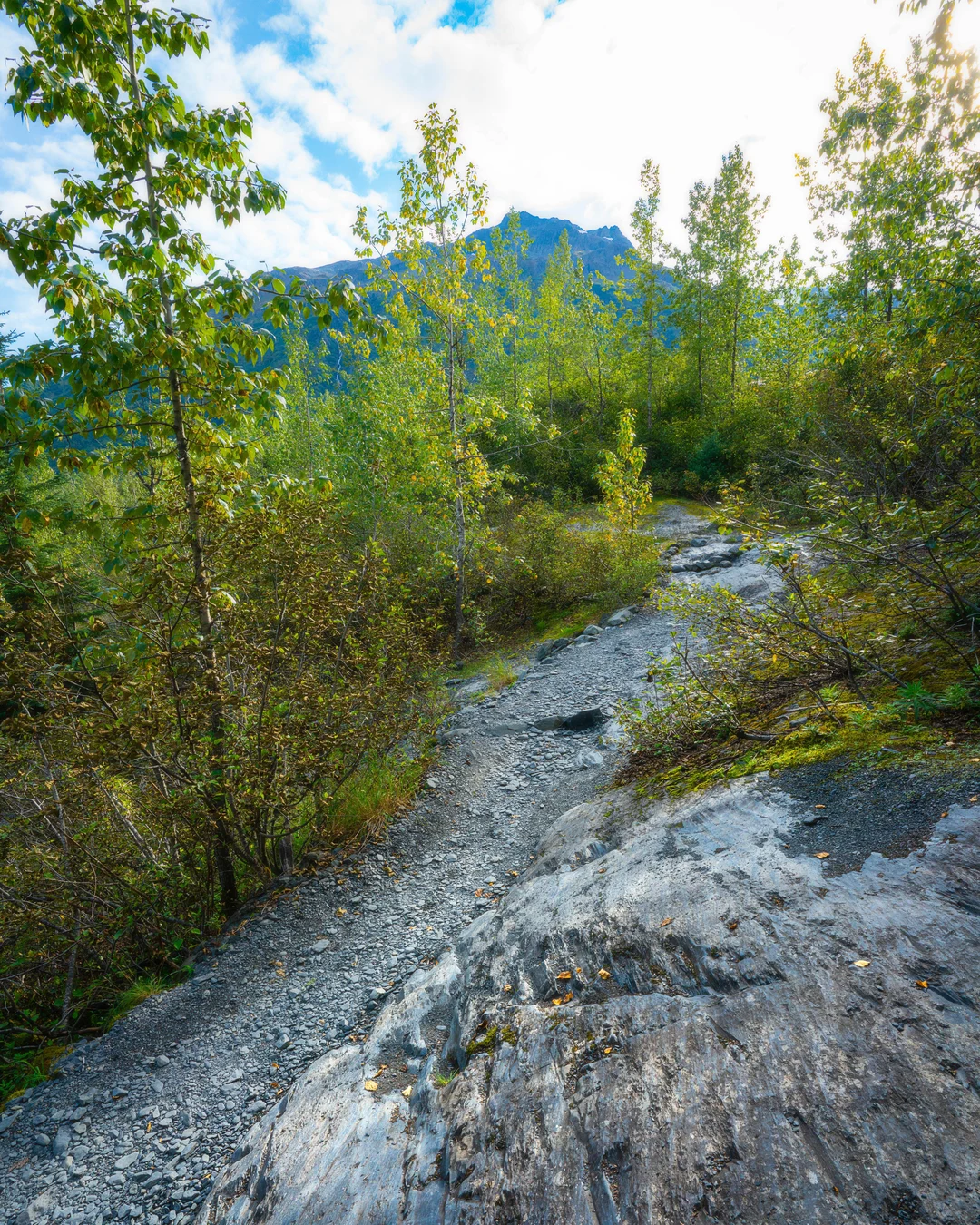 Kenai Fjords National Park - Alaska, USA [oc] 5304x6630 | Scrolller