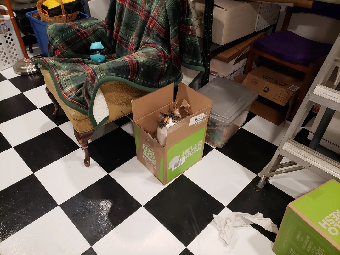 Certified fresh. | Scrolller