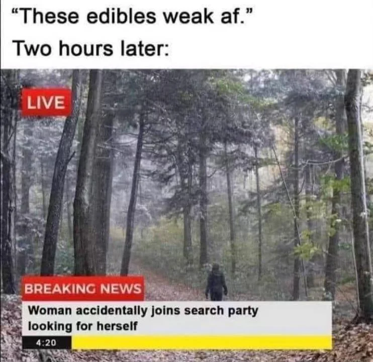 Thought this fit r/trees better | Scrolller