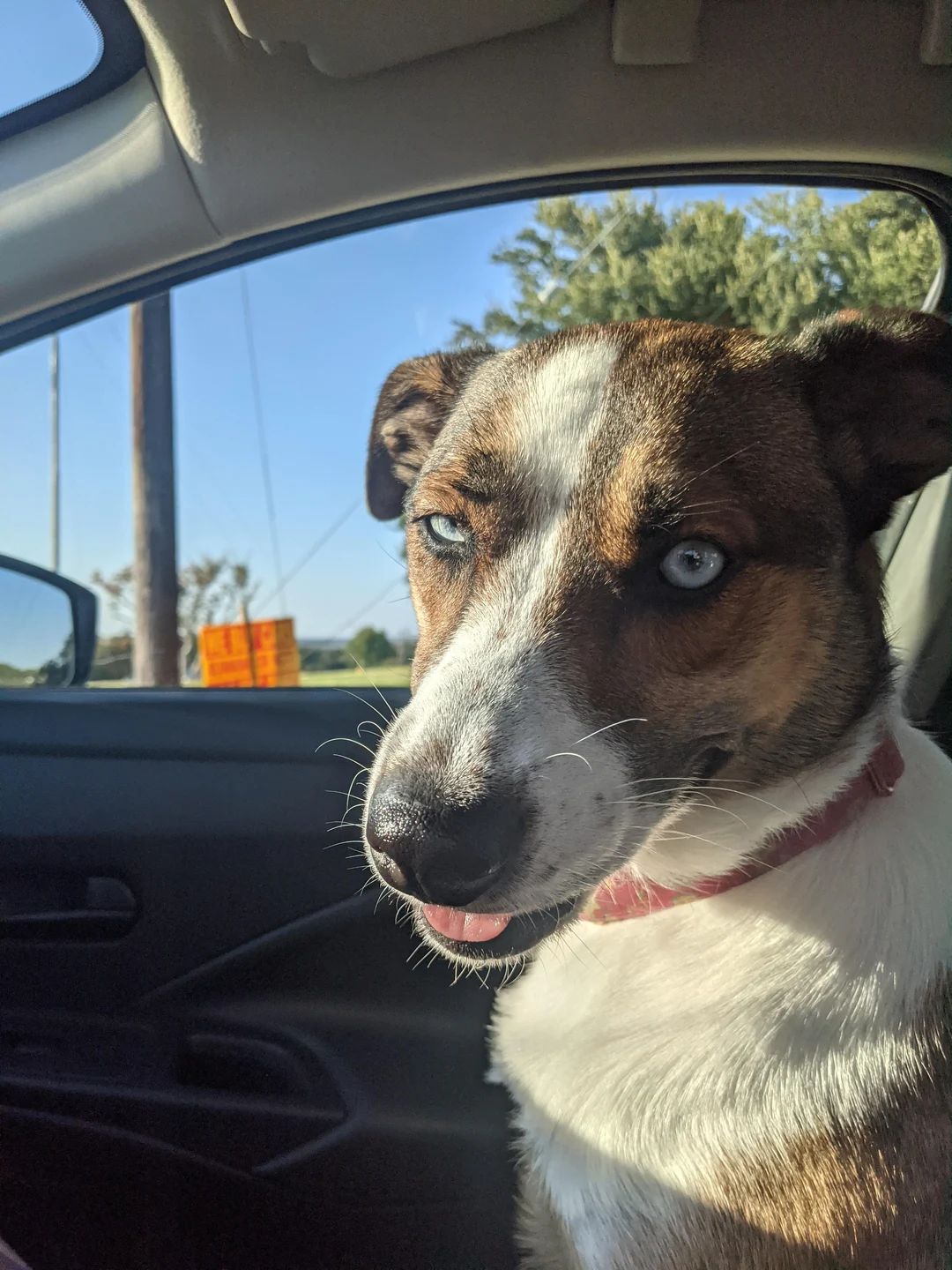 is she flirting with me? (op) | Scrolller