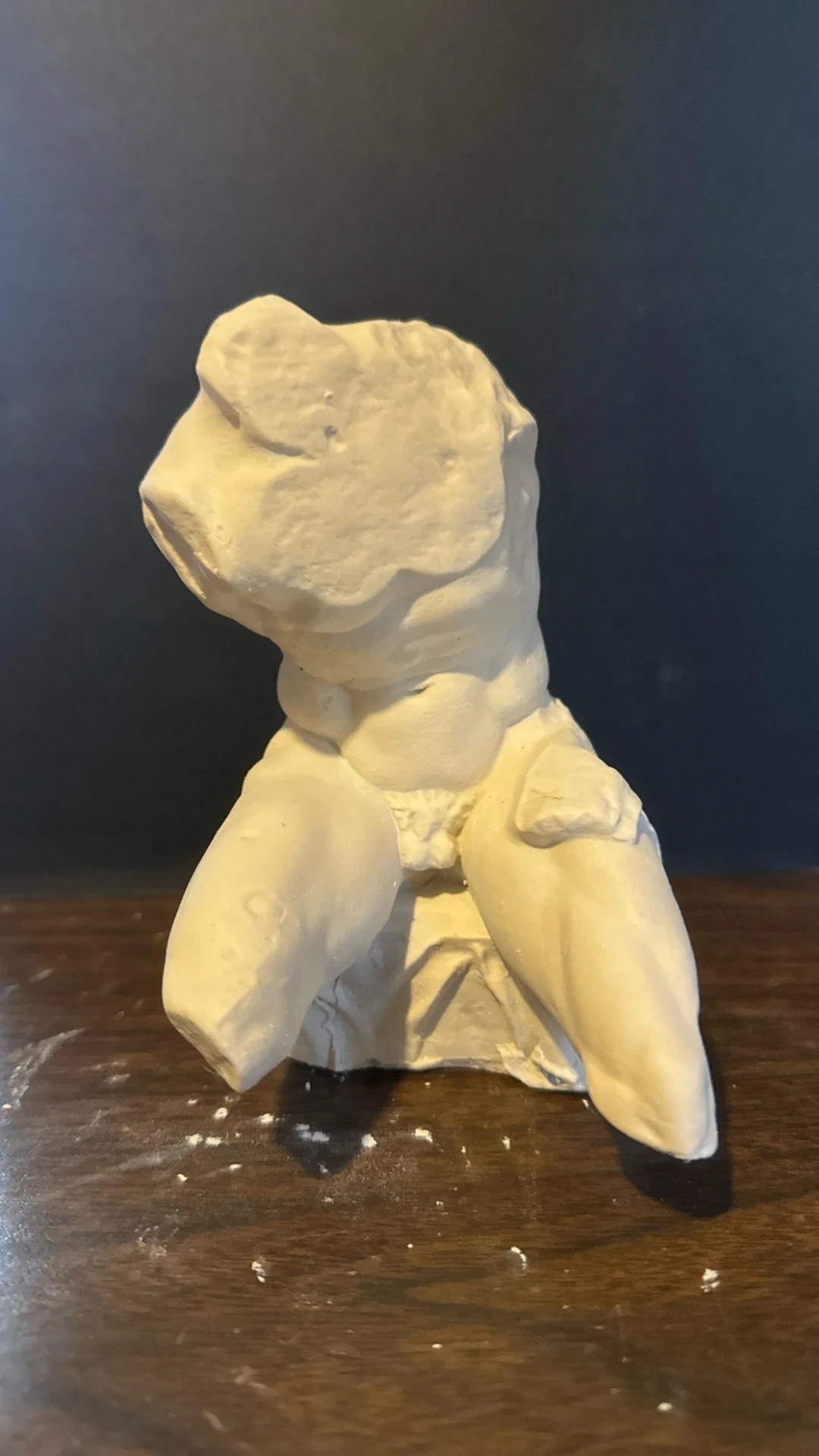 Belvedere torso cast, Me (From the Mold), Plaster, 2024 | Scrolller