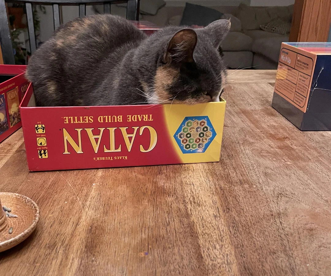 Settlers of CATan | Scrolller