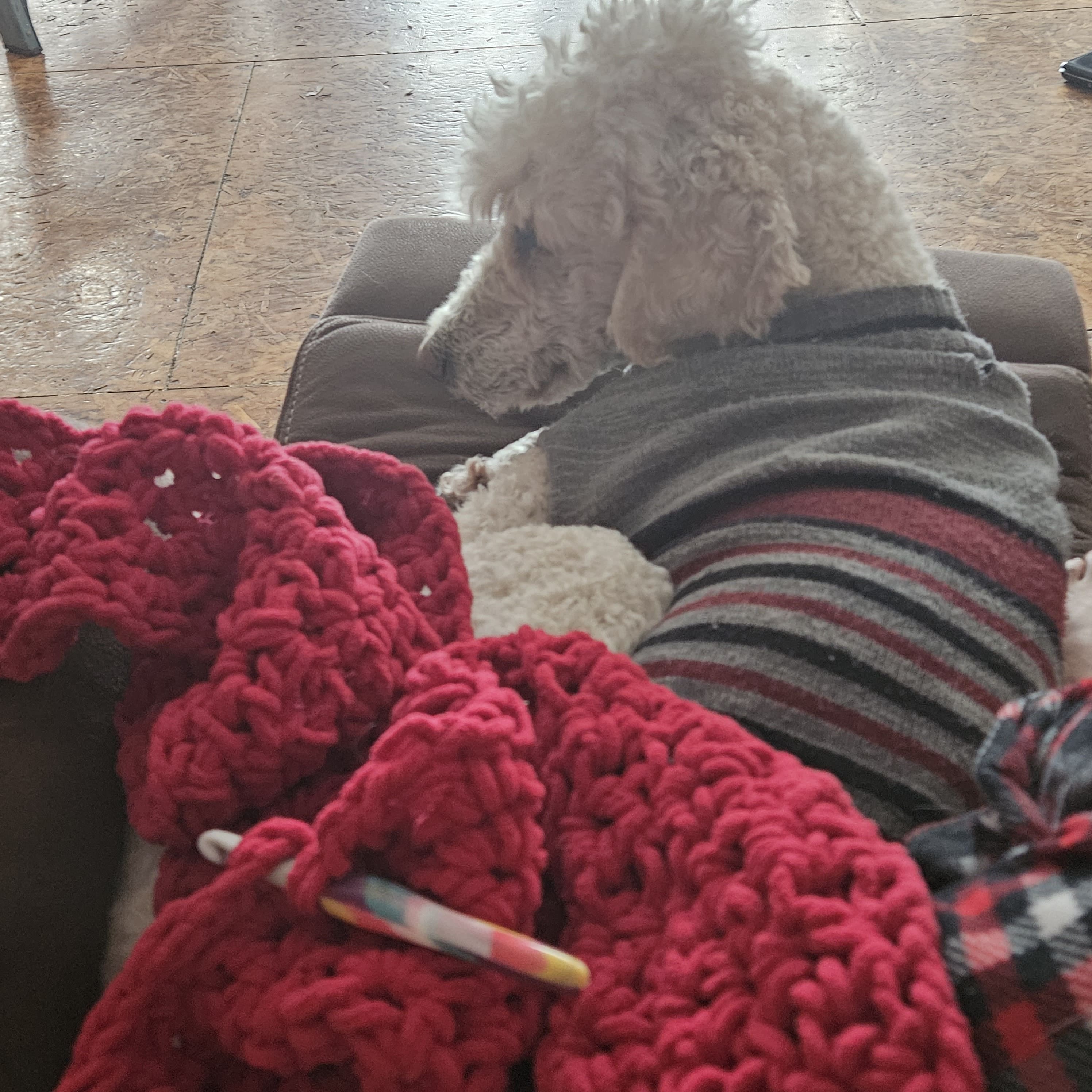 Crochet partner | Scrolller