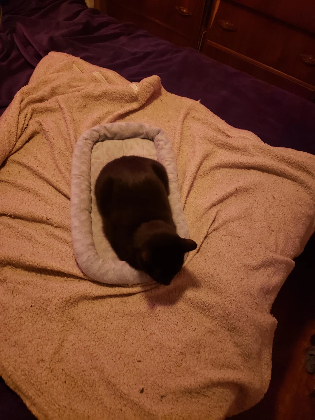 Rate the loaf | Scrolller