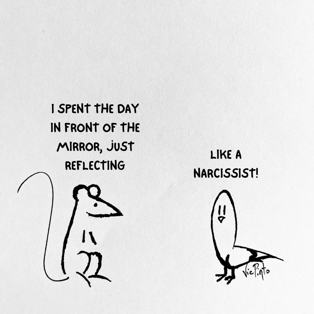 Reflection [OC] | Scrolller