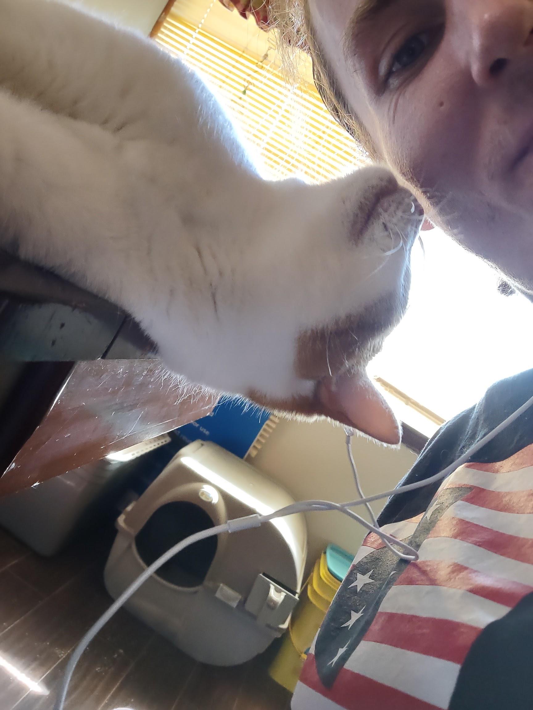 Felix and myself (OC) | Scrolller