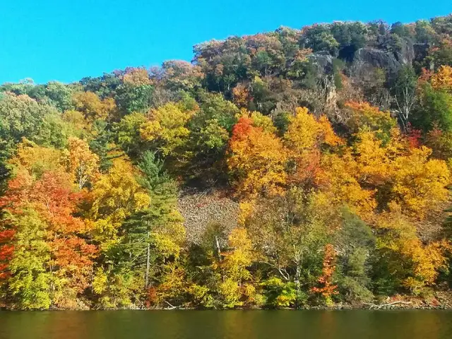 A Park in Meriden, Connecticut, USA taken at peak color on October 19, 2022 by Russ Behnke { 960 ...