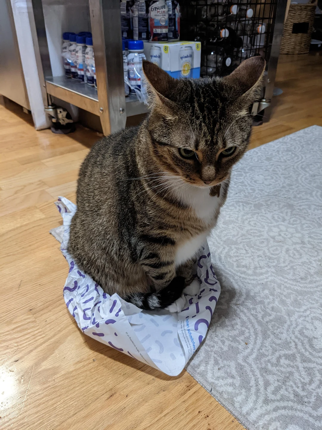 she knows I know she can't resist a good trap | Scrolller