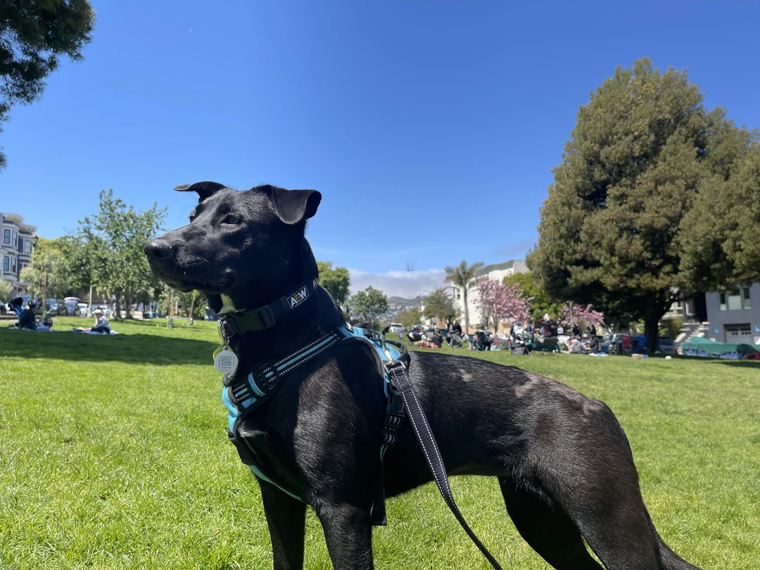 Lucy is ALL ELITE! | Scrolller