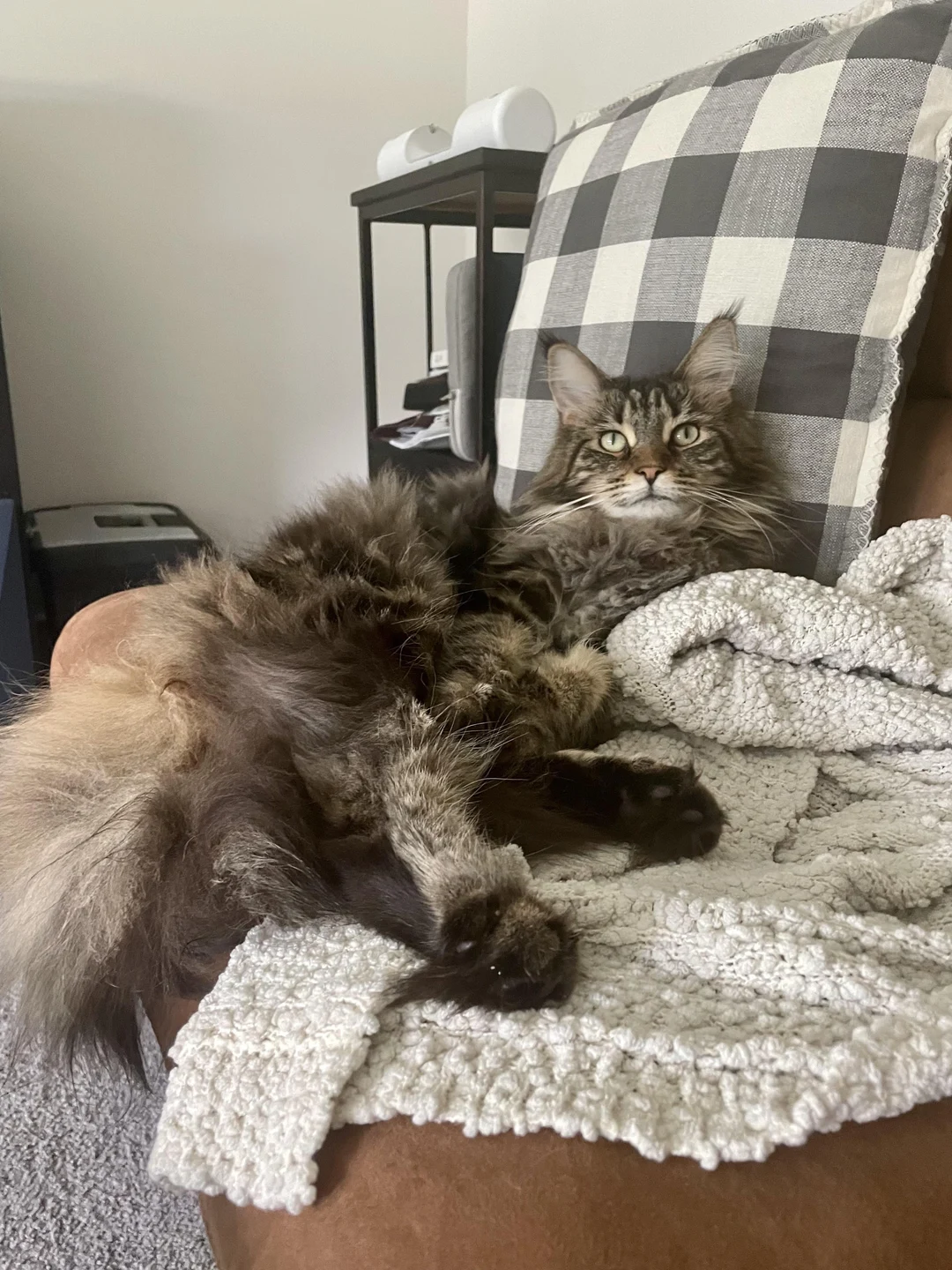 My personal assistant hard at work | Scrolller