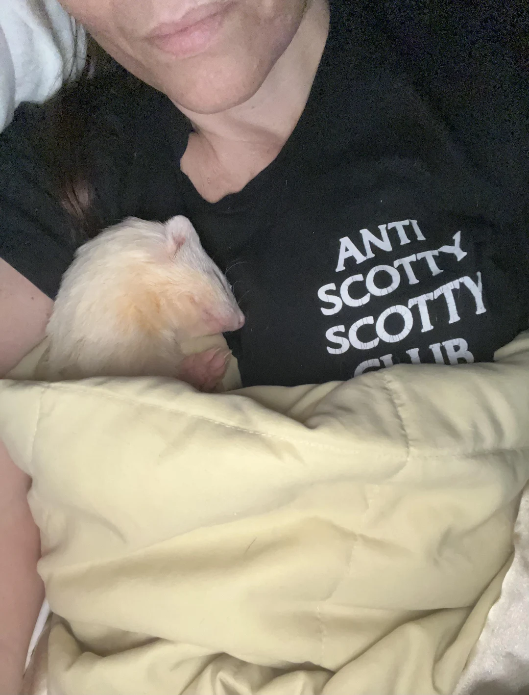 Stu with his lil hands laying here like a sweet baby ️ I love my Sweet Stu | Scrolller