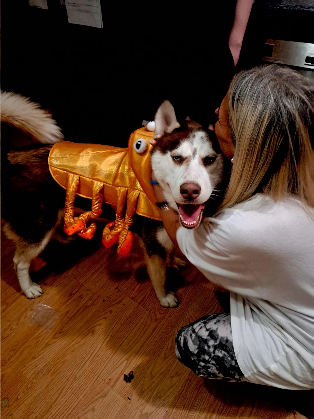 What were your derps for Halloween? | Scrolller