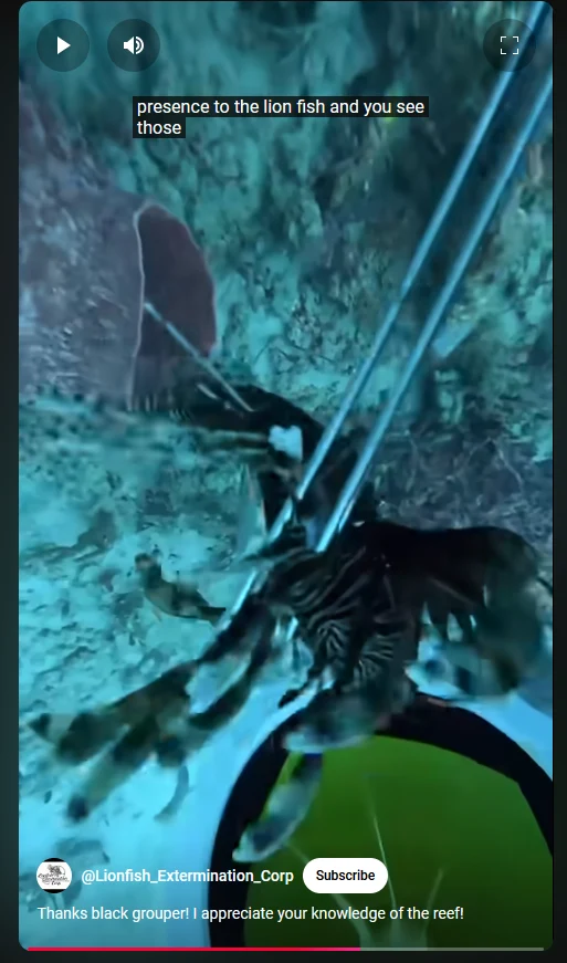 Anyone know what this yellow tube with the inward facing fins is? It's being used for spear ...