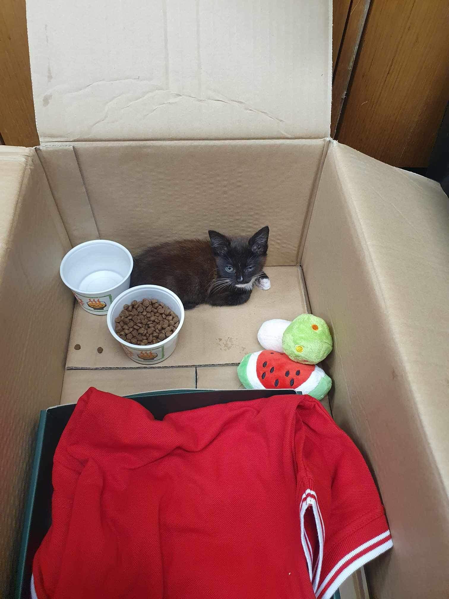 We were chosen! I think her name is Cocoa Beans | Scrolller