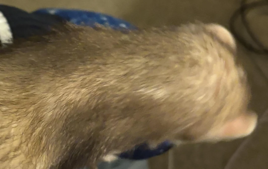 A couple of weird questions | Scrolller