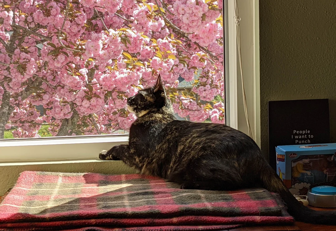 Spring Smudge | Scrolller