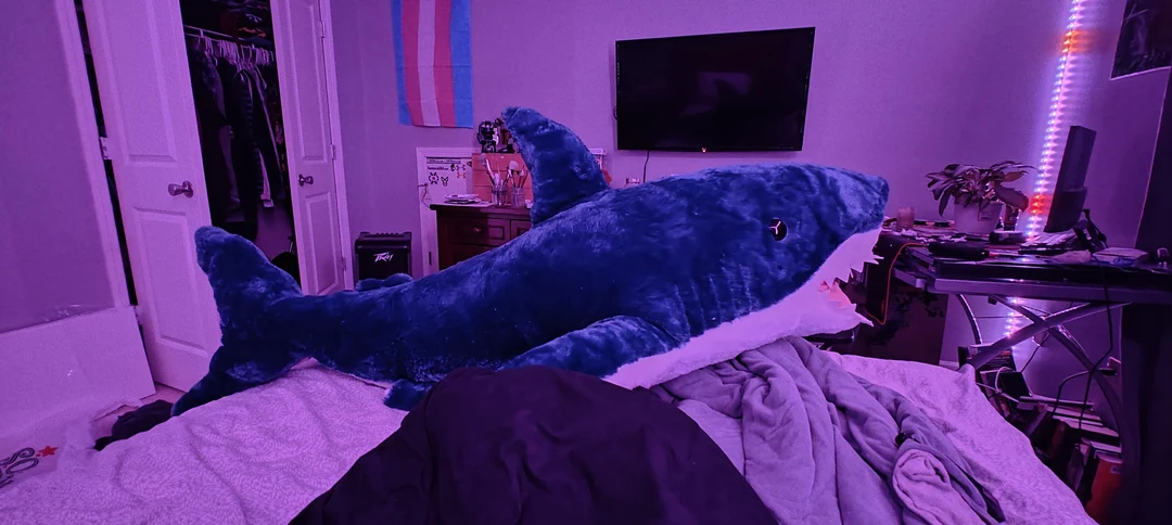 Blahaj!!! | Scrolller