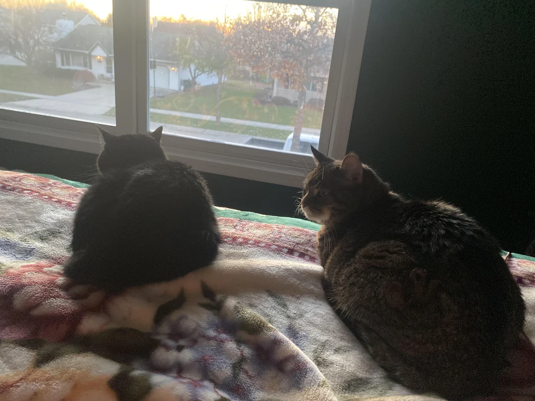 Double loaf | Scrolller