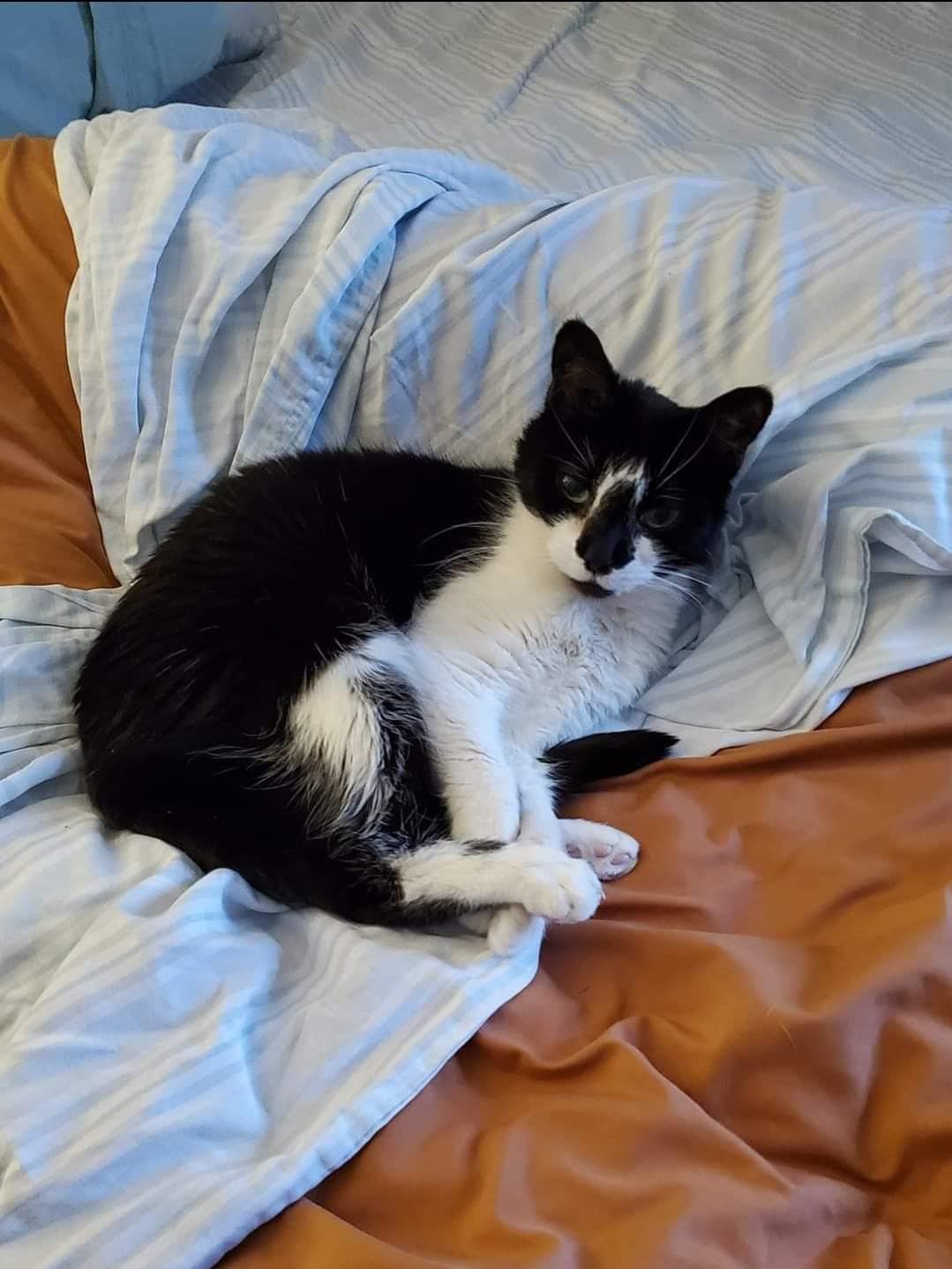 Smudge McButtons 2008 - 2024 | Scrolller