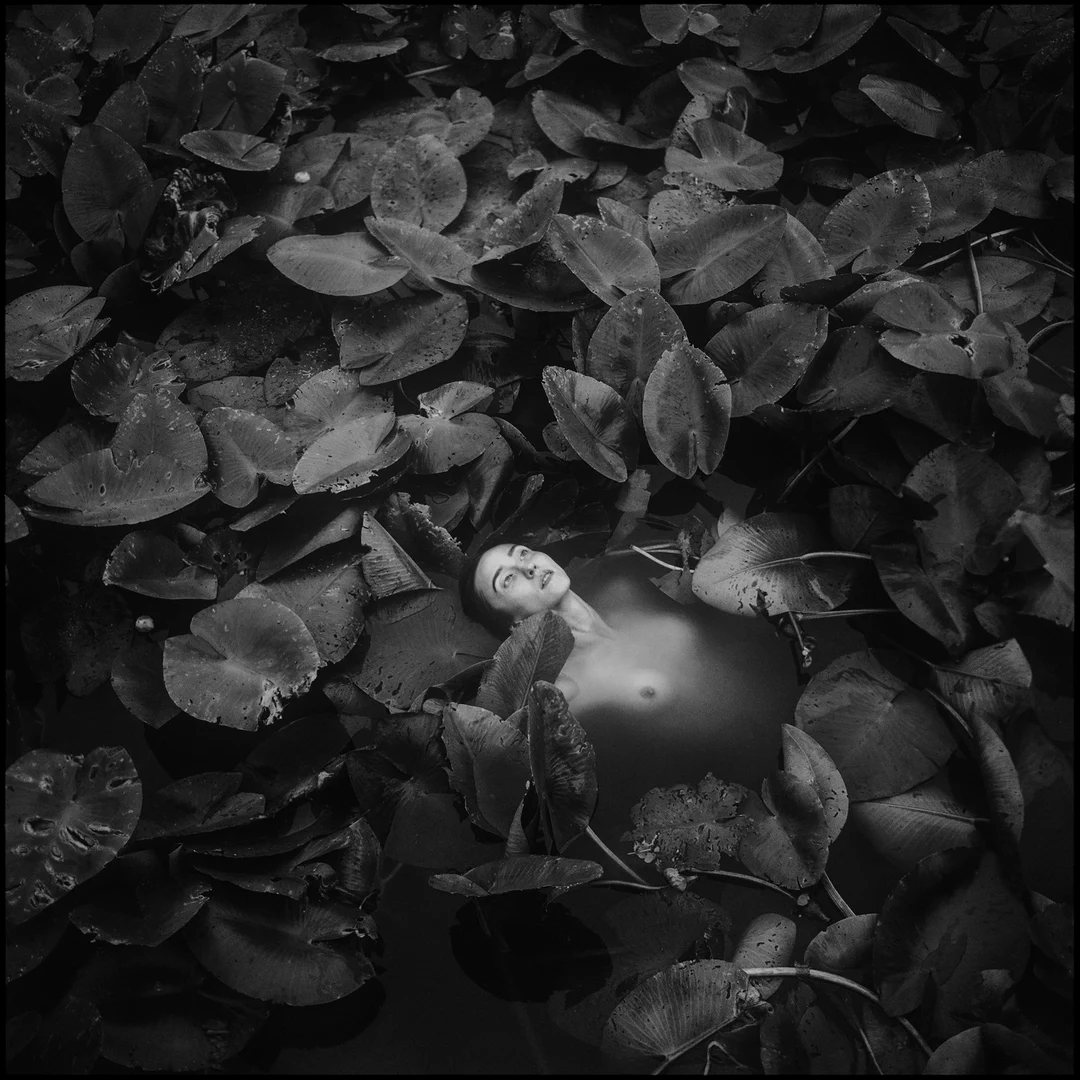 "Nuphar lutea" (2021, Mamiya RB67 Pro-S + Mamiya-Sekor C 65mm, Ilford XP2 400) | Scrolller