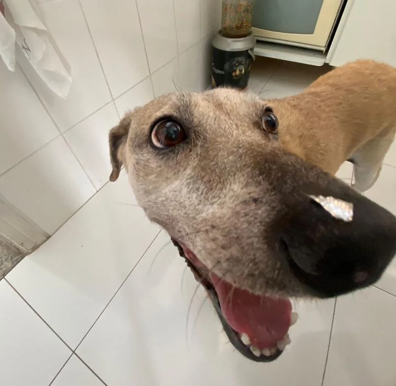 So silly. | Scrolller