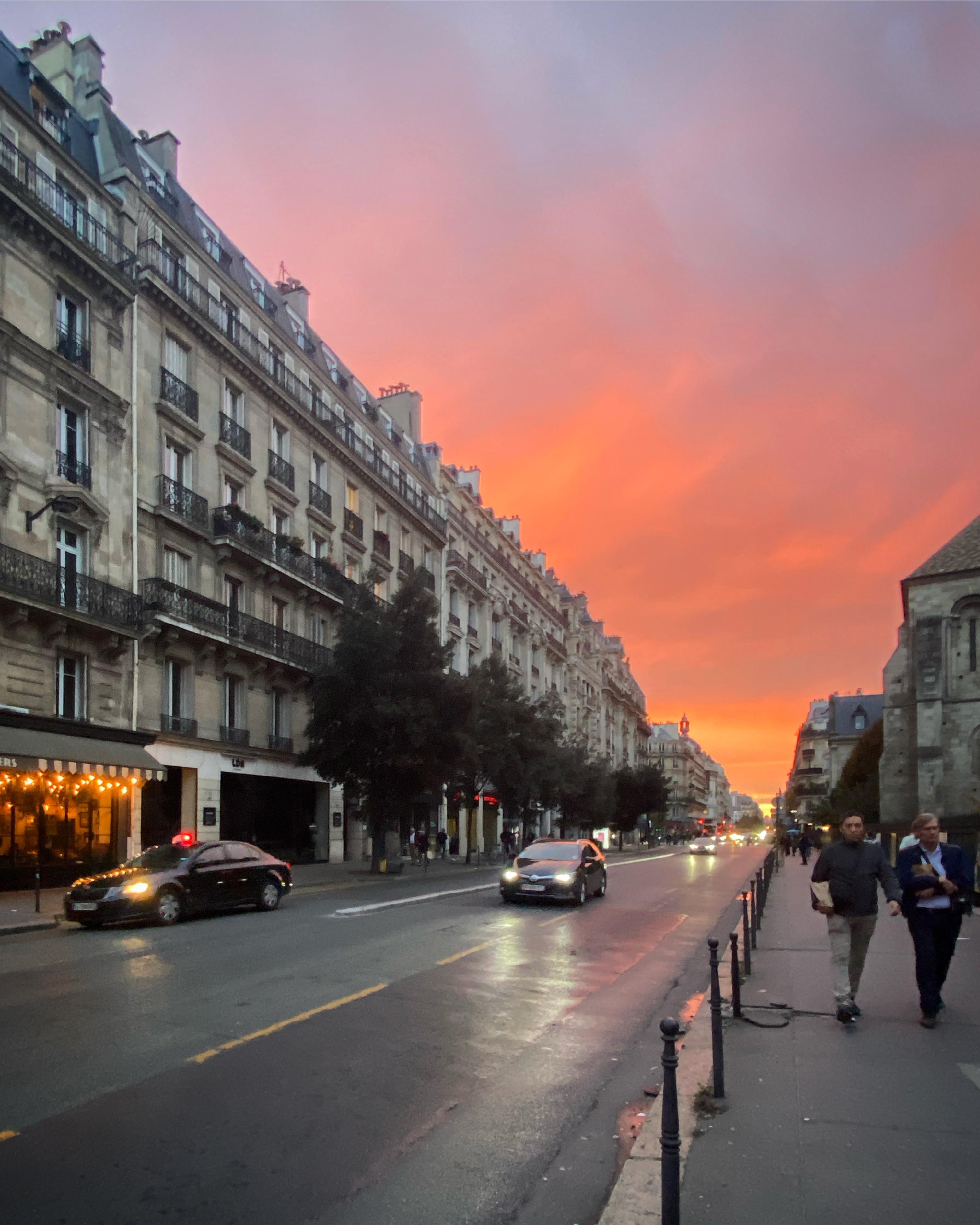 Shepherd’s delight | Scrolller