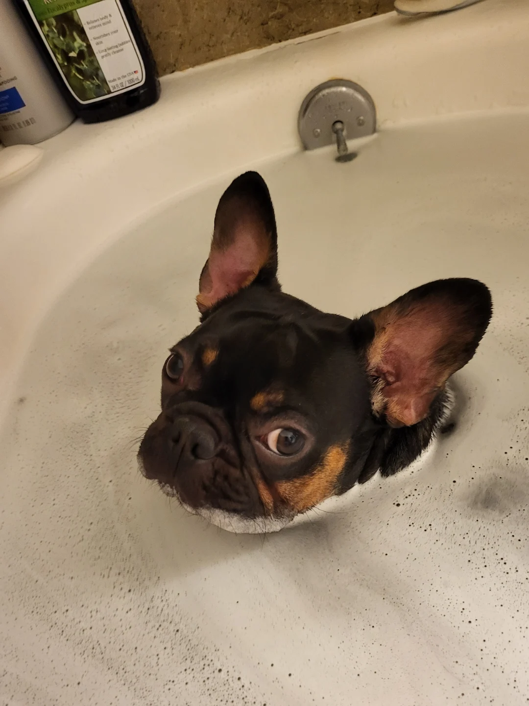 She doesnt like to be disturbed during her bath | Scrolller