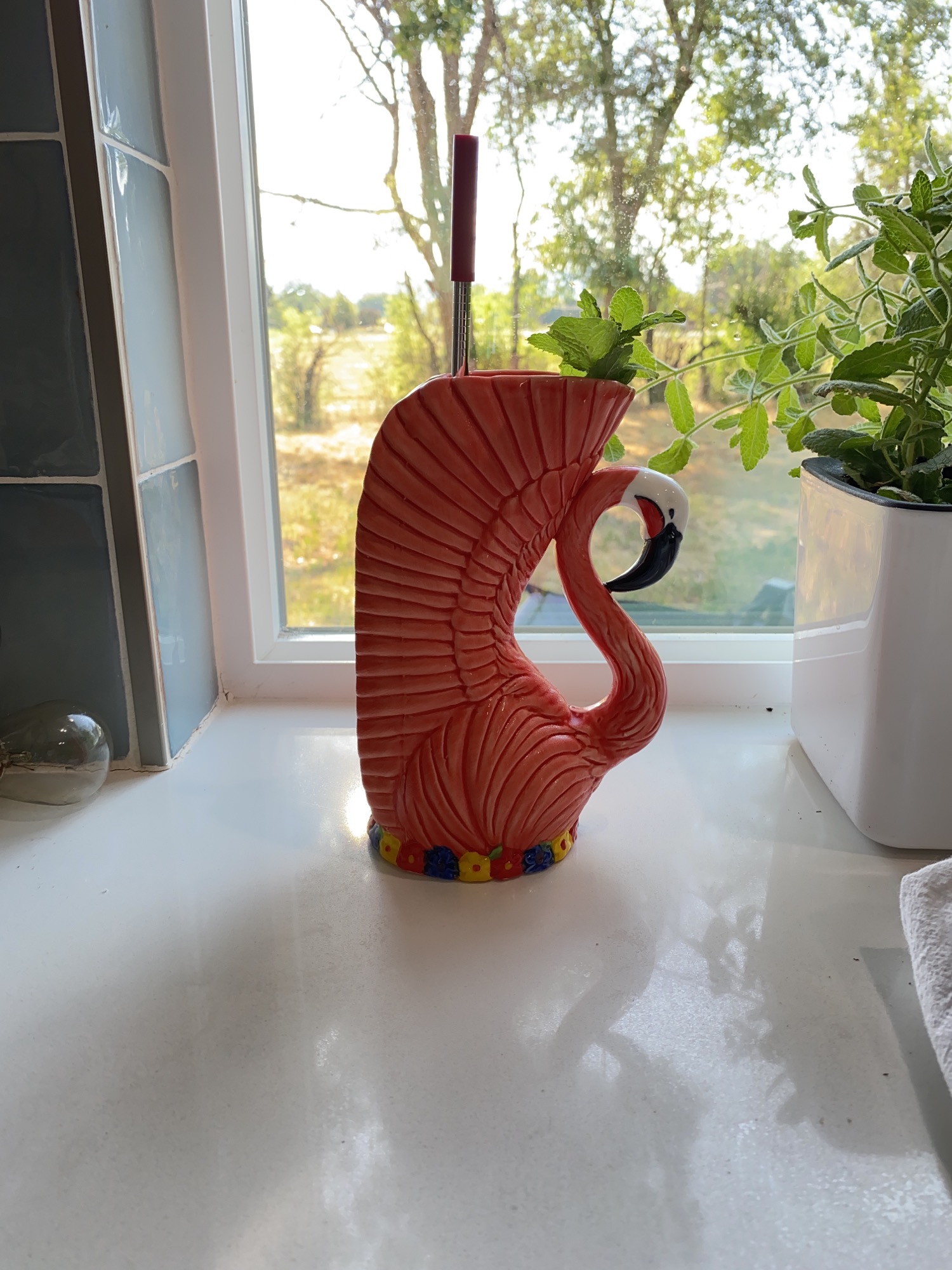 Jungle Bird | Scrolller