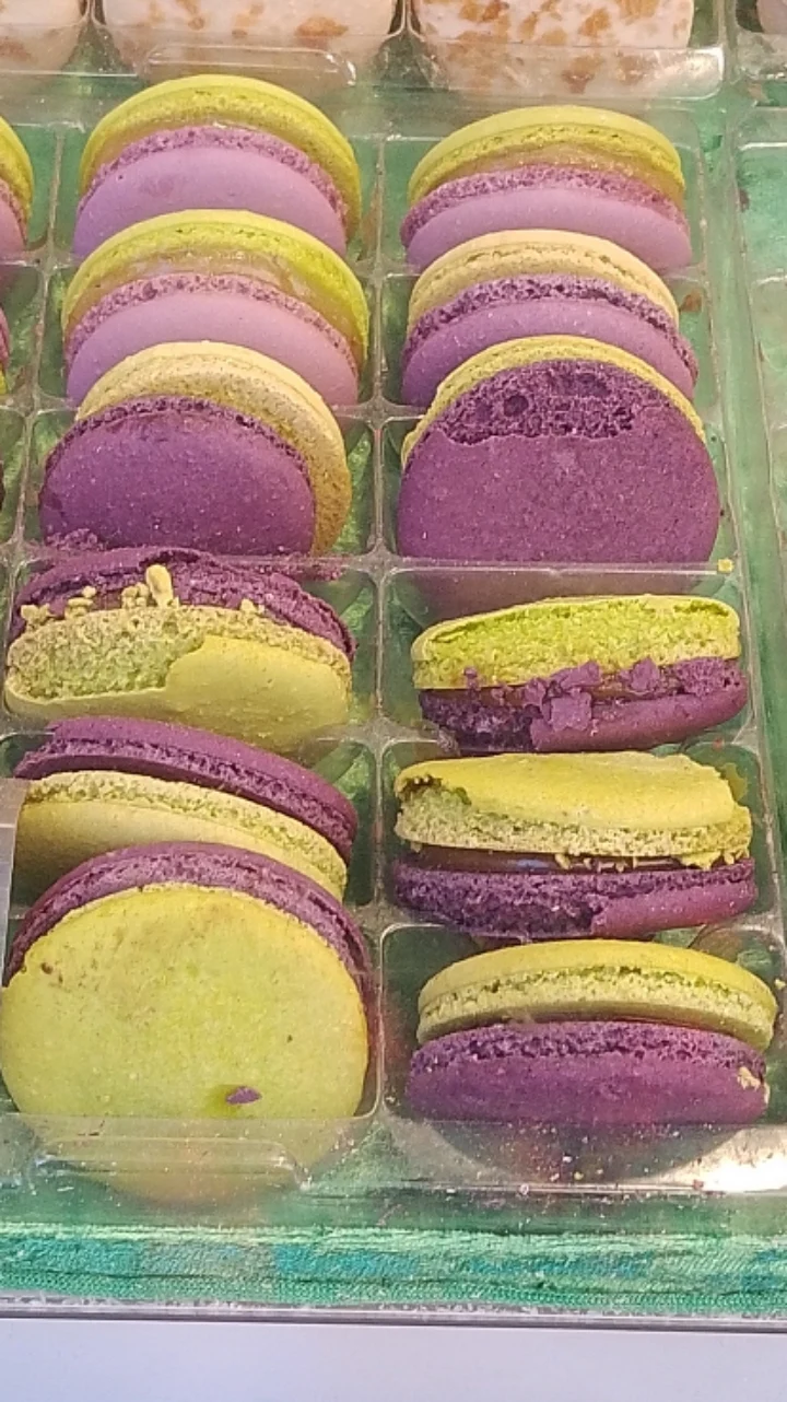 Evangelion reference | Scrolller