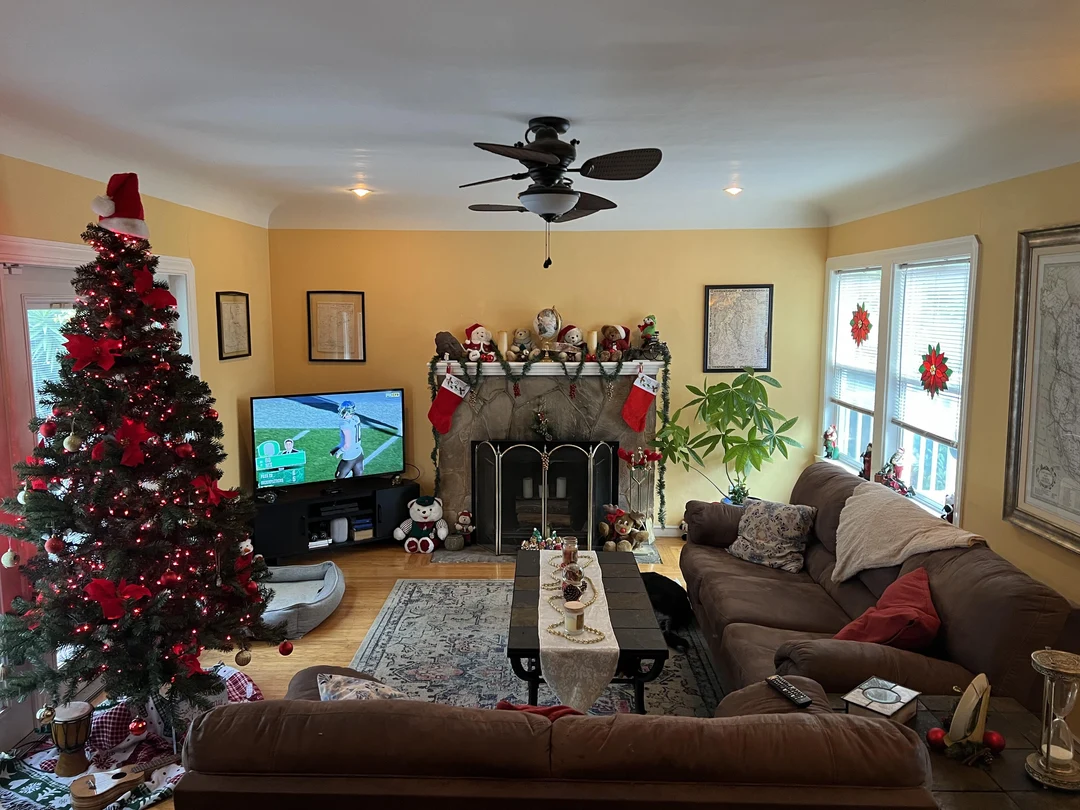 Happy Holi-daze everyone! | Scrolller