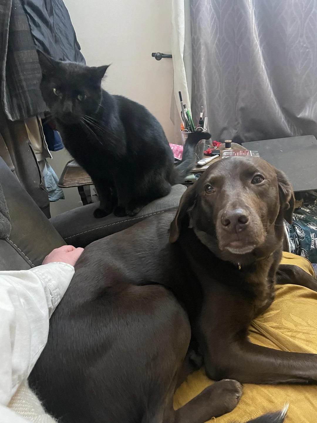 When we are planing and get caught | Scrolller