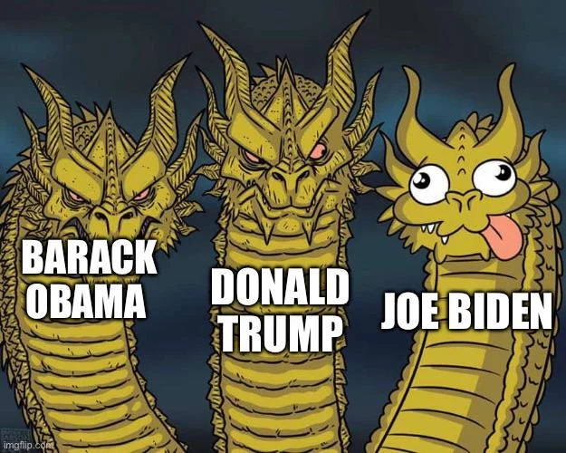 Biden in the nutshell | Scrolller