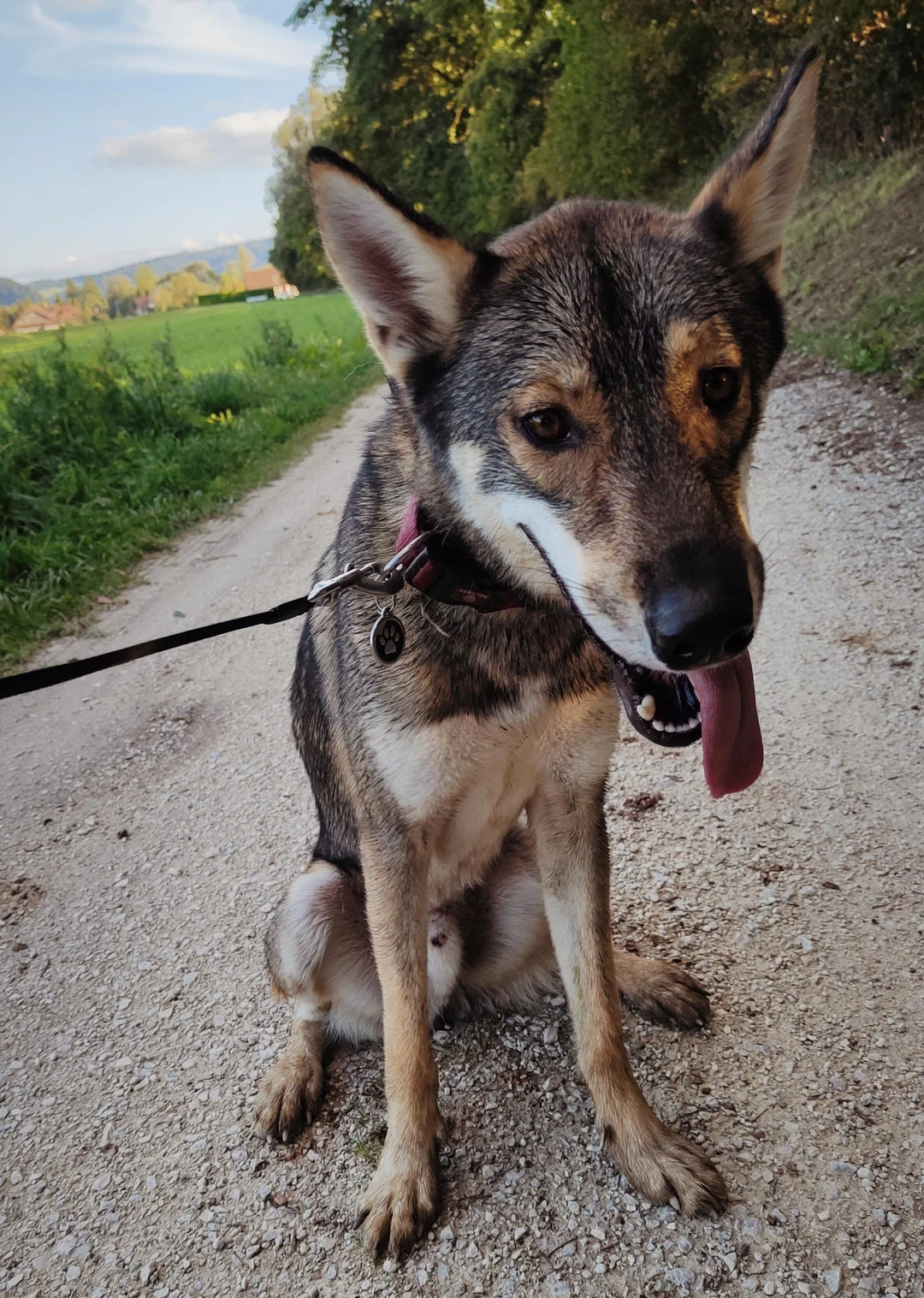 all dirty and wet but soooo happy 🥰🐶 | Scrolller
