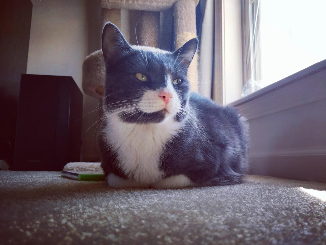 Window Loaf | Scrolller