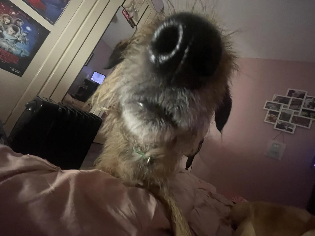 Stinky detector | Scrolller