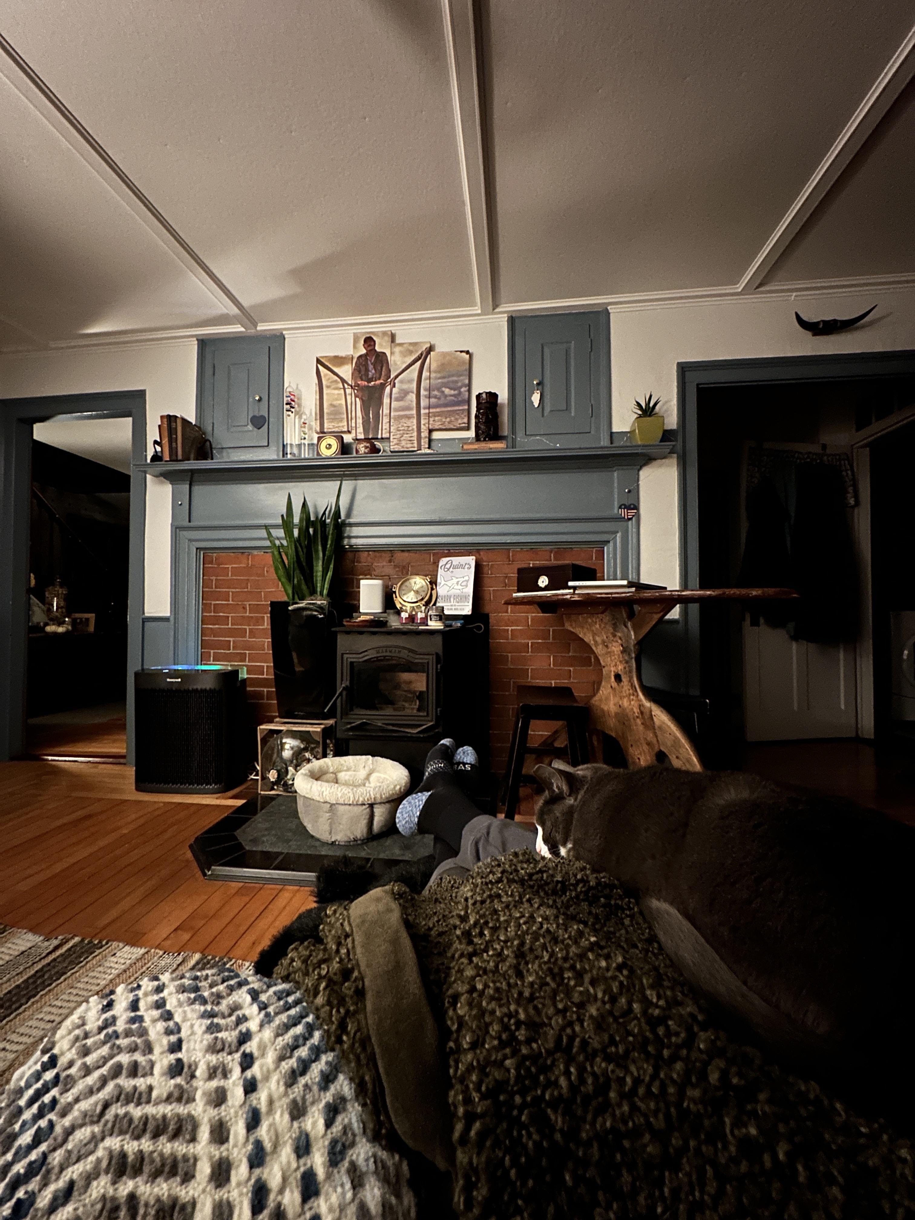 Alfredo in quiet contemplation time. | Scrolller