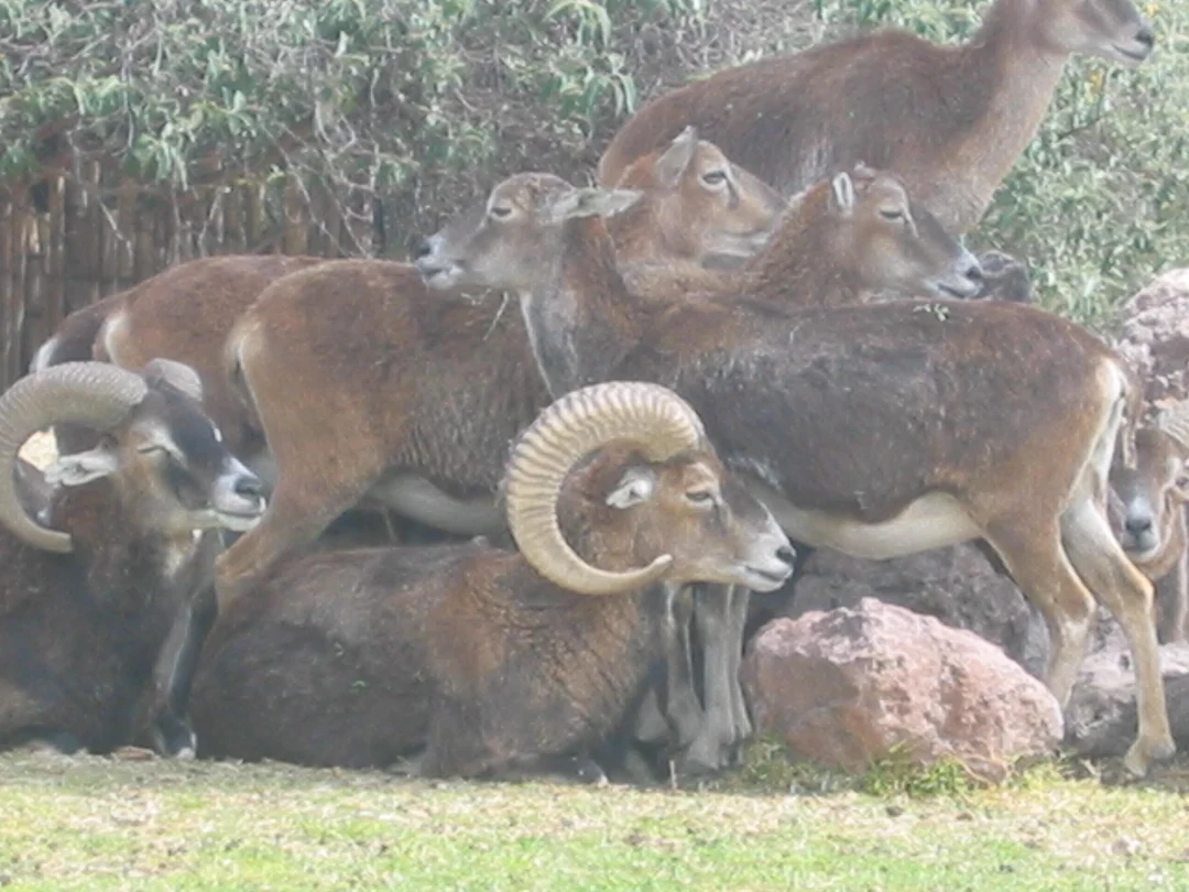 Unity makes strength | Scrolller