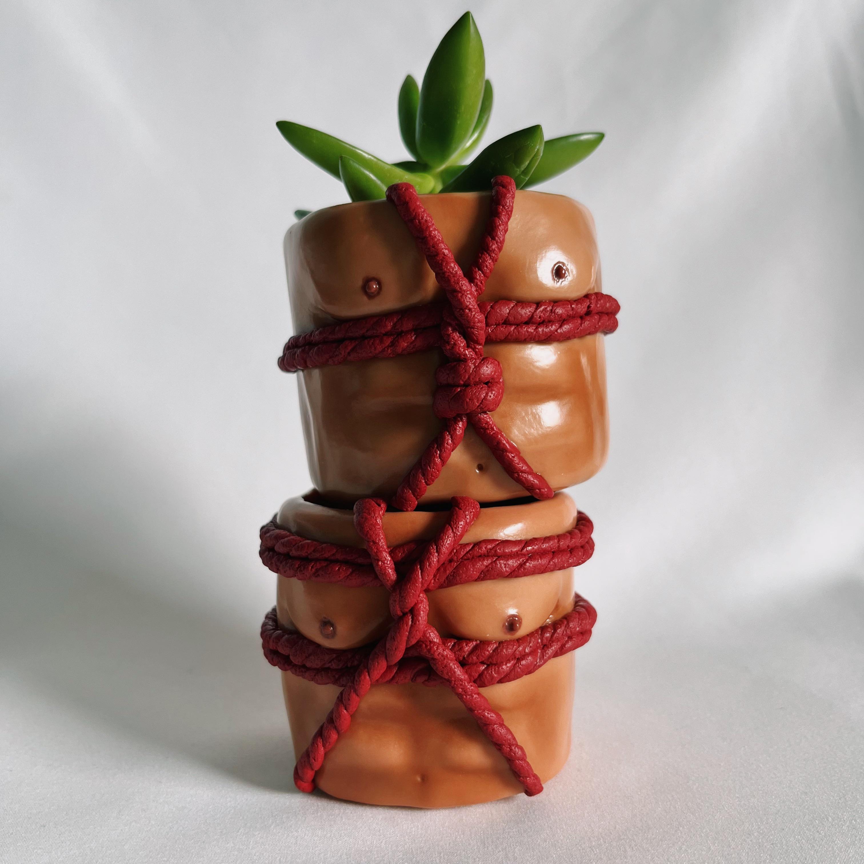 [Self] Mini shibari plant pots | Scrolller