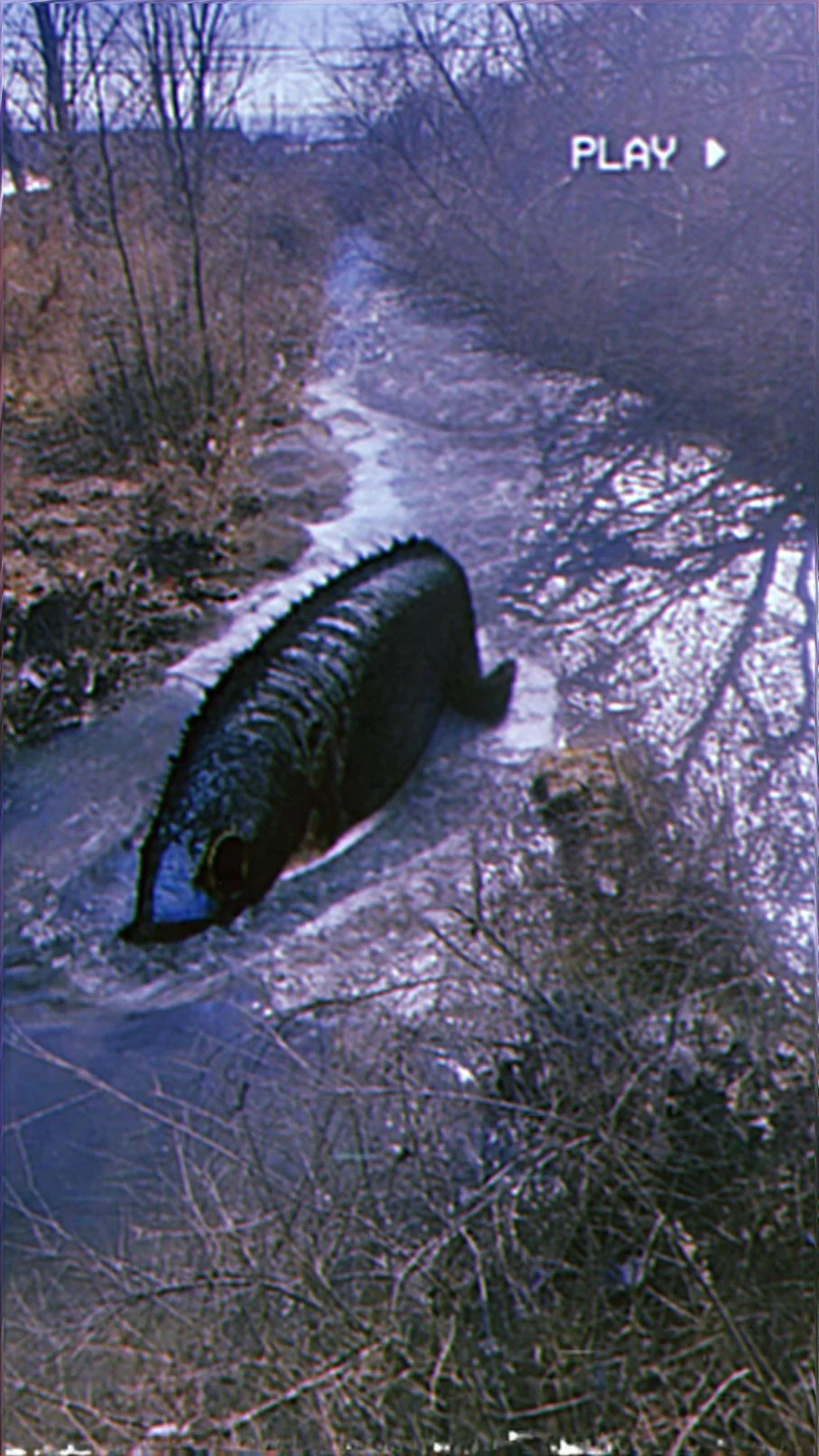 Abomination bellow the bridge | Scrolller