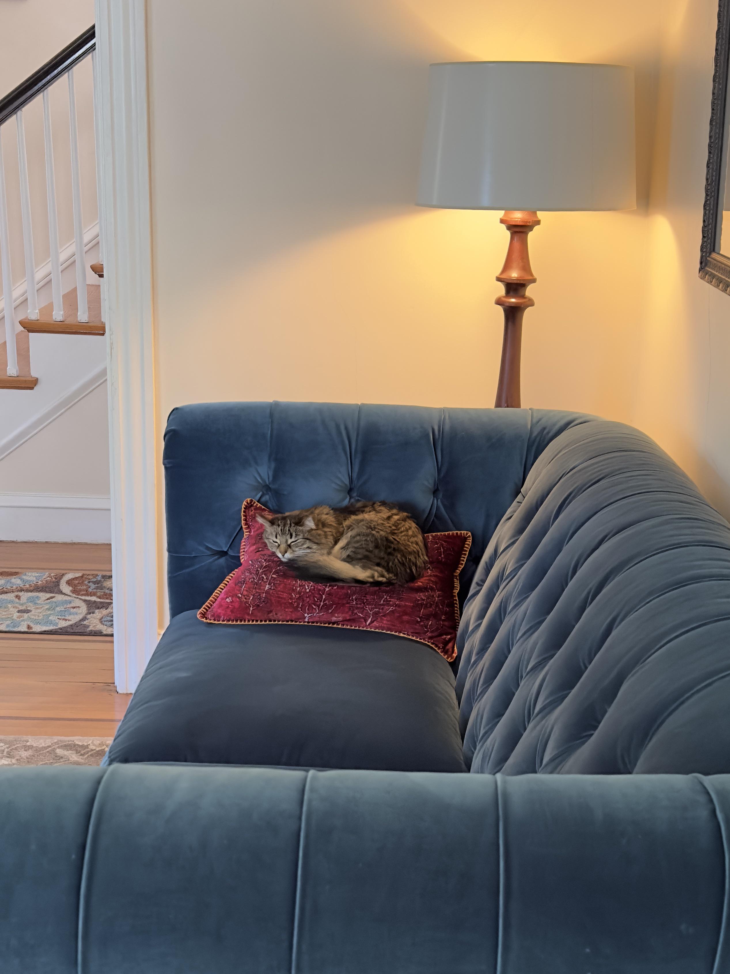 Me, spoiled? | Scrolller