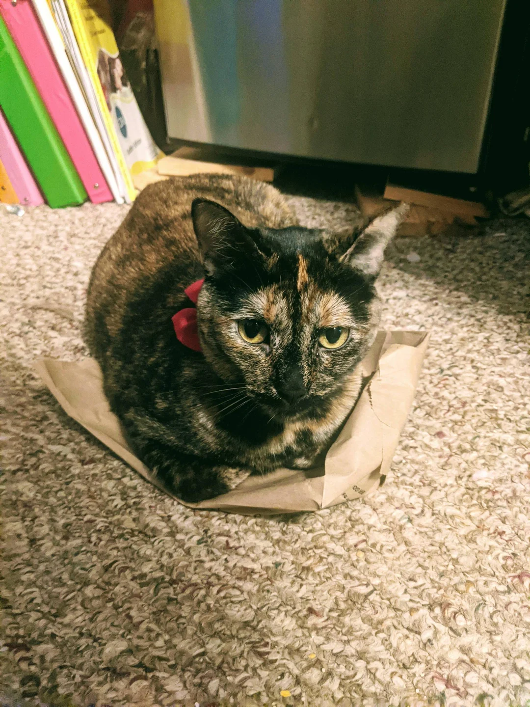 Bag trap! | Scrolller