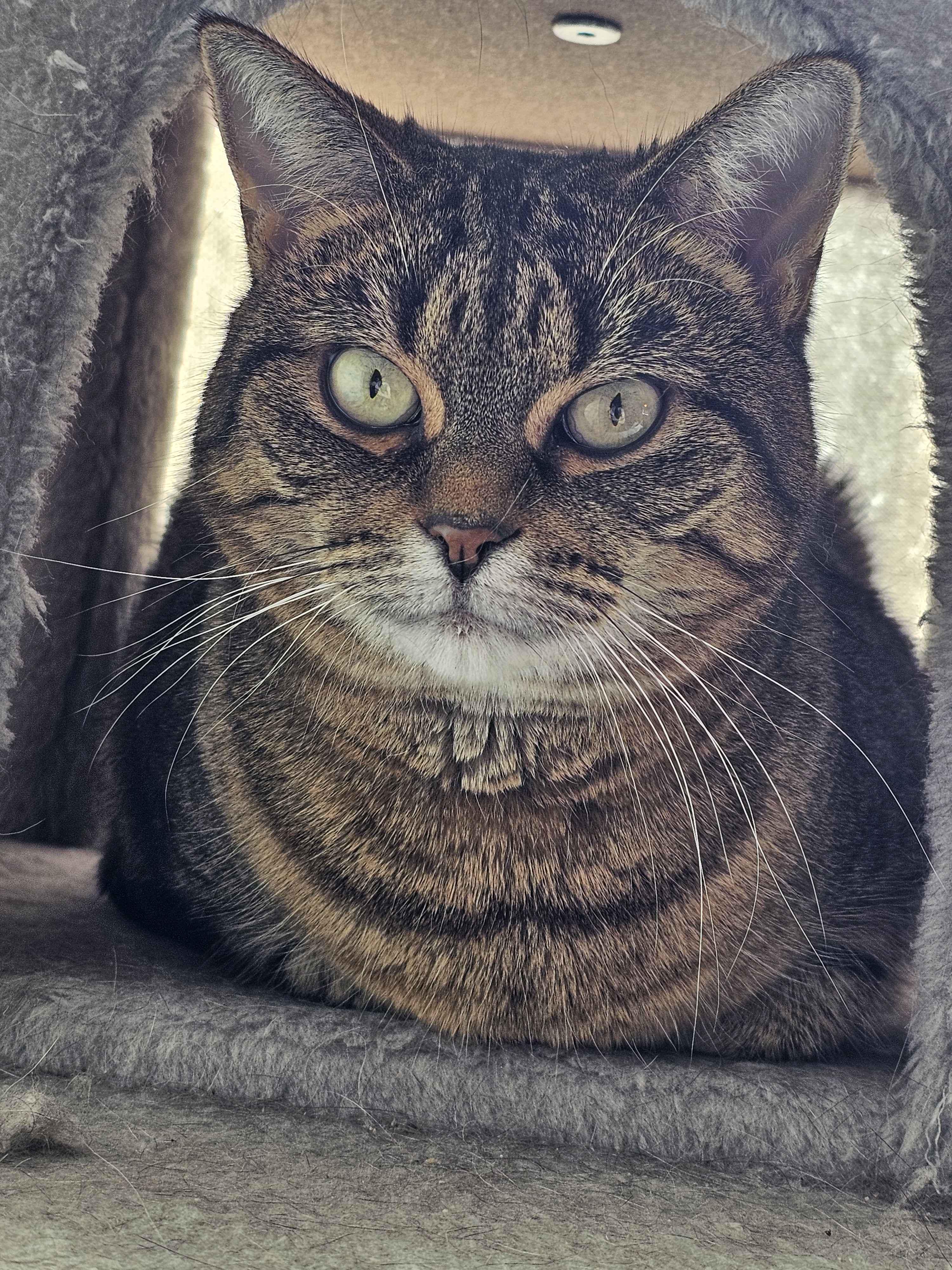 Mimi showing off her supermodel stare | Scrolller