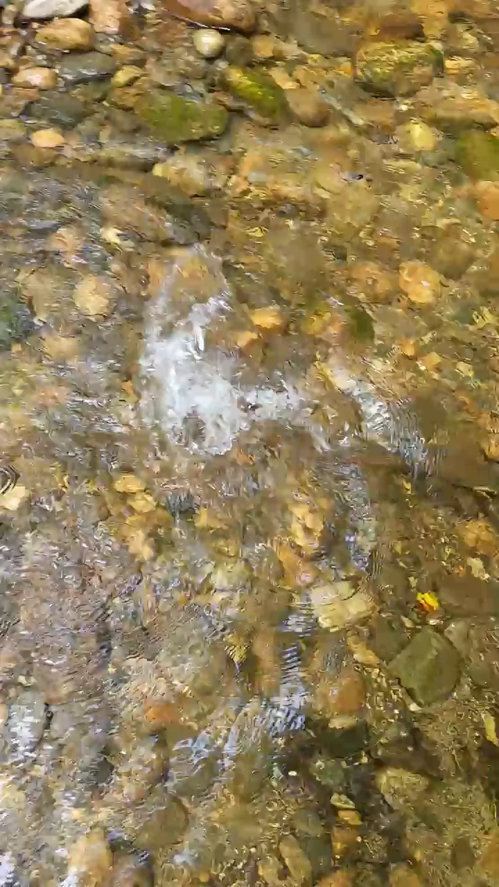 Good sized trout I caught today | Scrolller