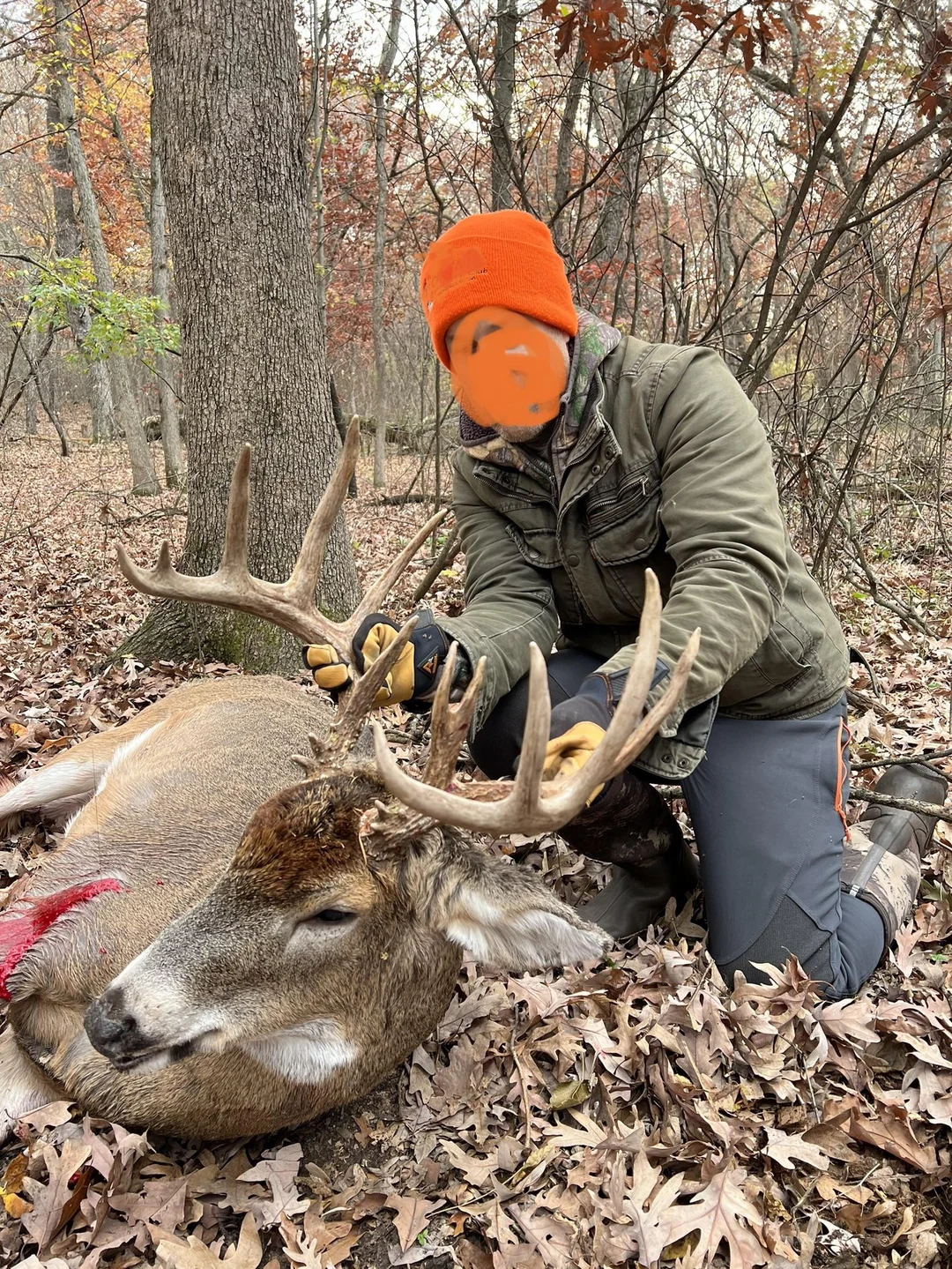 My biggest bow buck! | Scrolller