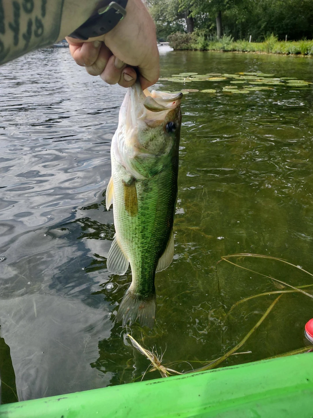 Having some lady troubles so I decided to go fishing I don't think it helped but at least I ...