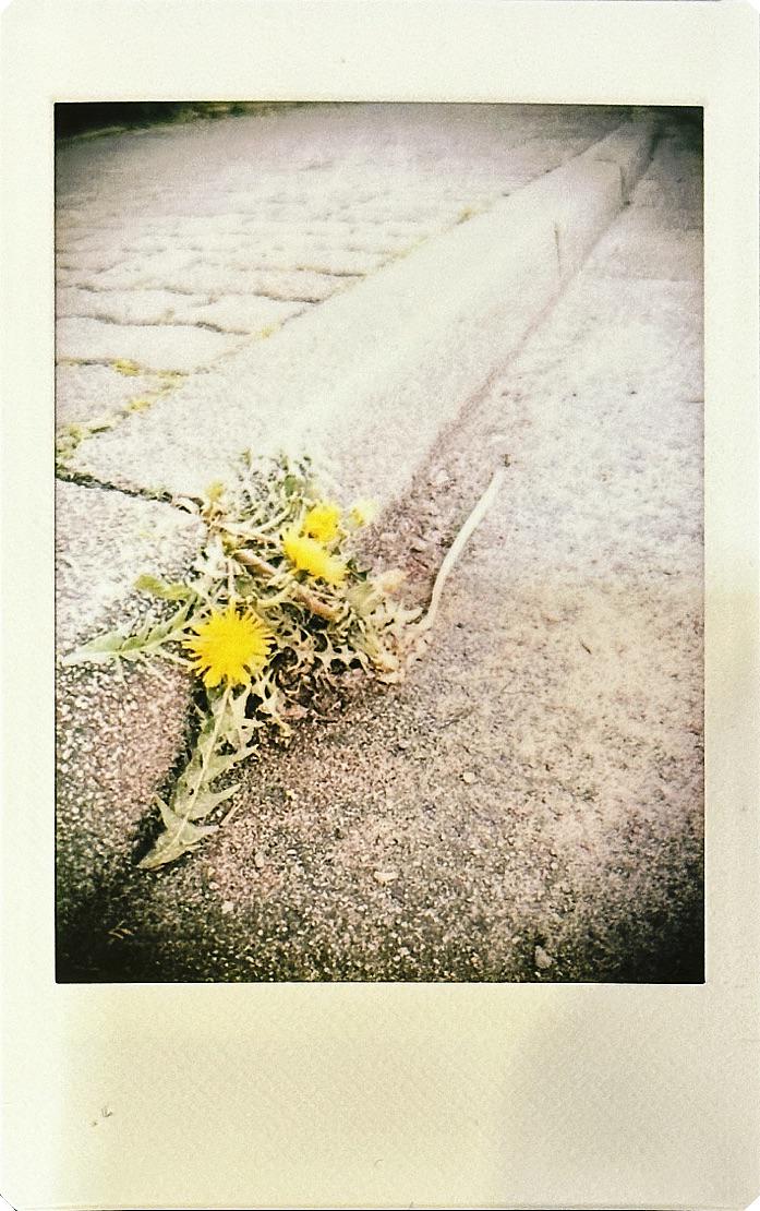 First steps with my Evo | Scrolller