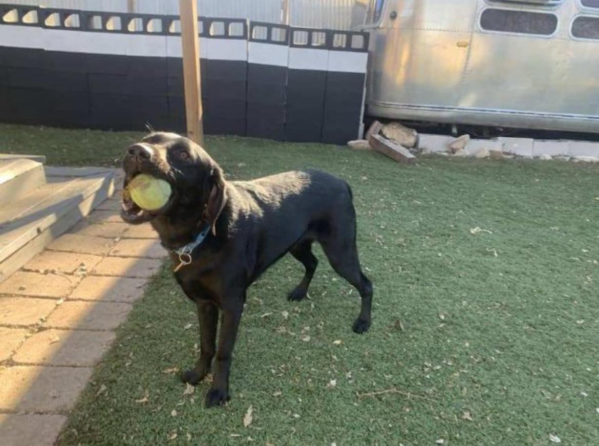 Benny appreciation post. That is all. | Scrolller